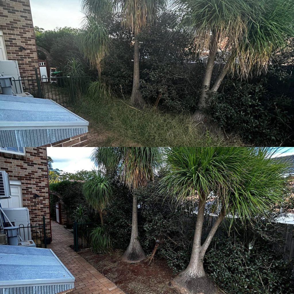 Portfolio – The Garden Barbers Landscaping